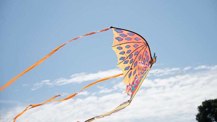 Cherry Blossom Kite Flying Tradition Moves Off National Mall for 2021 ...