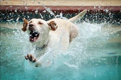 Albrecht Muth Says He’s Ready for Trial in Death of 91-Year-Old Wife ...