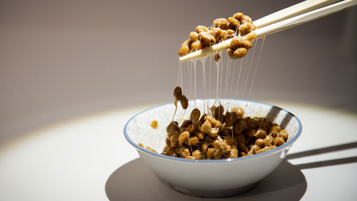 Gag! Rotting Fish, Maggots on Menu at Sweden’s New Disgusting Food Museum – NBC4 Washington