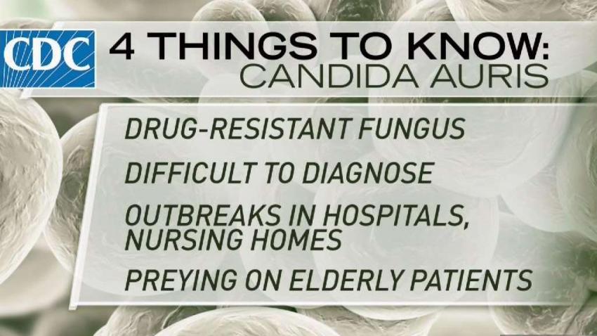 CDC Sounds Alarm About C. Auris Infection – NBC4 Washington