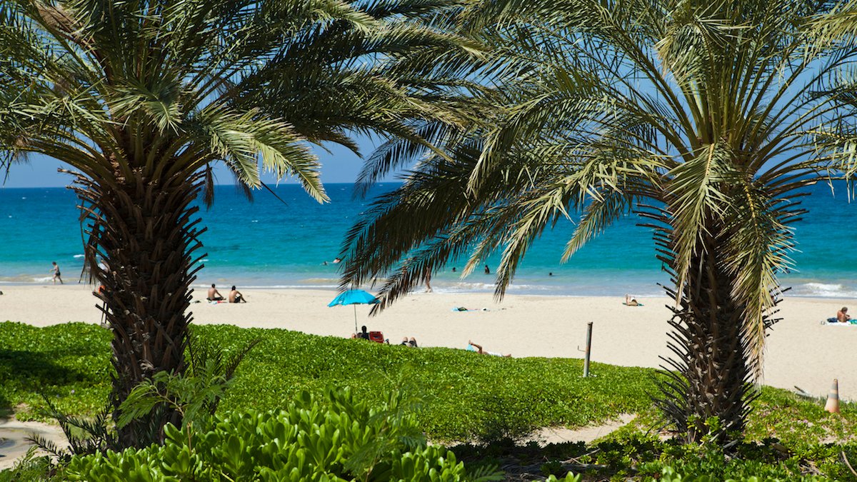The Top 10 Beaches in America for 2021 – NBC4 Washington