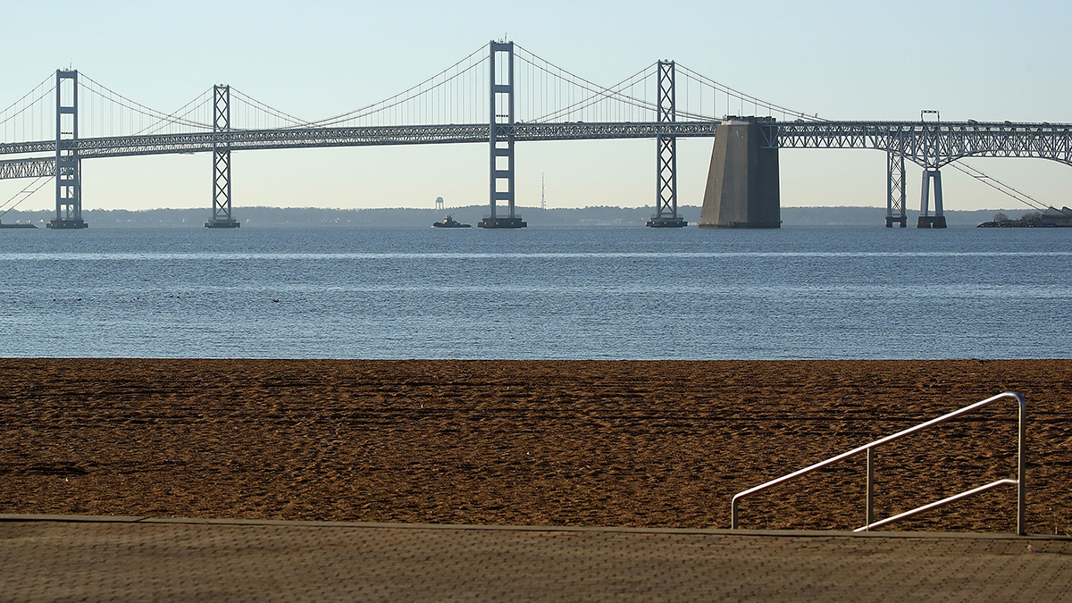 Chesapeake Bay Pollution Goals ‘An Aspiration,’ EPA Official Says ...