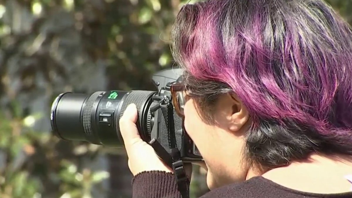 Virginia Photographer Captures Family Portraits While Social Distancing ...