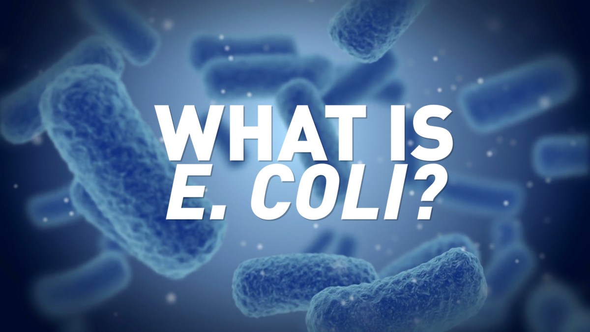 What Is E. Coli? – NBC4 Washington