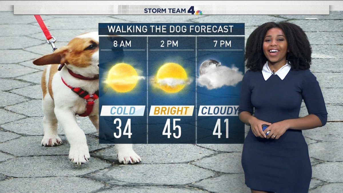Evening Weather, Dec. 7 – NBC4 Washington