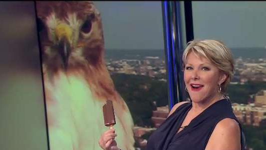 Watch: Wendy Rieger Gets a Special Visitor – NBC4 Washington