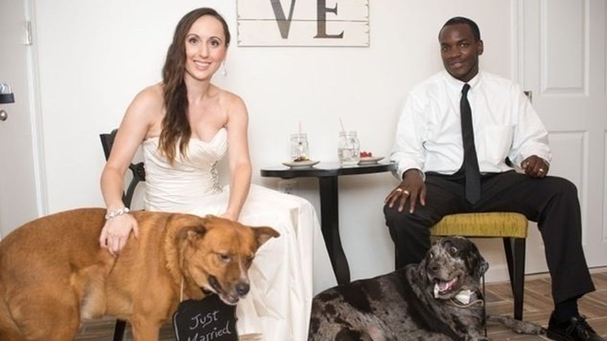 Maryland Wife Wins Fight to Bring Critically Ill Husband Back From ...