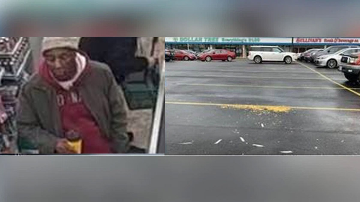 Police Release Photo of Suspected Seagull Killer – NBC4 Washington
