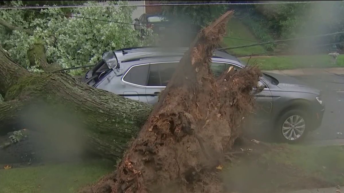 Large Tree Crashes Onto Family’s SUV During Storms – NBC4 Washington