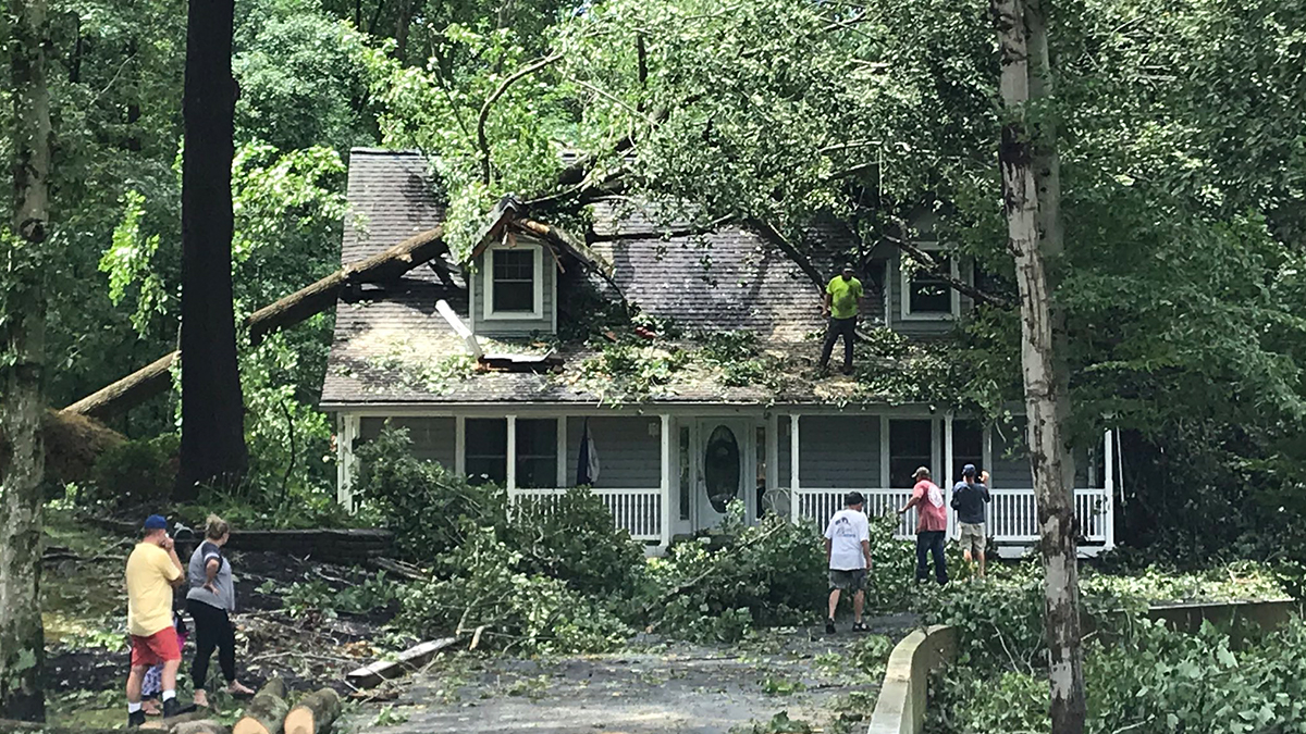 Photos and Videos: Tropical Storm Isaias Unleashes Damage on DC ...
