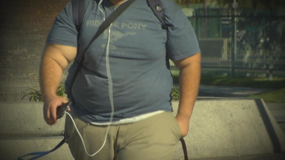 American Obesity Rate Hits New Record – NBC4 Washington