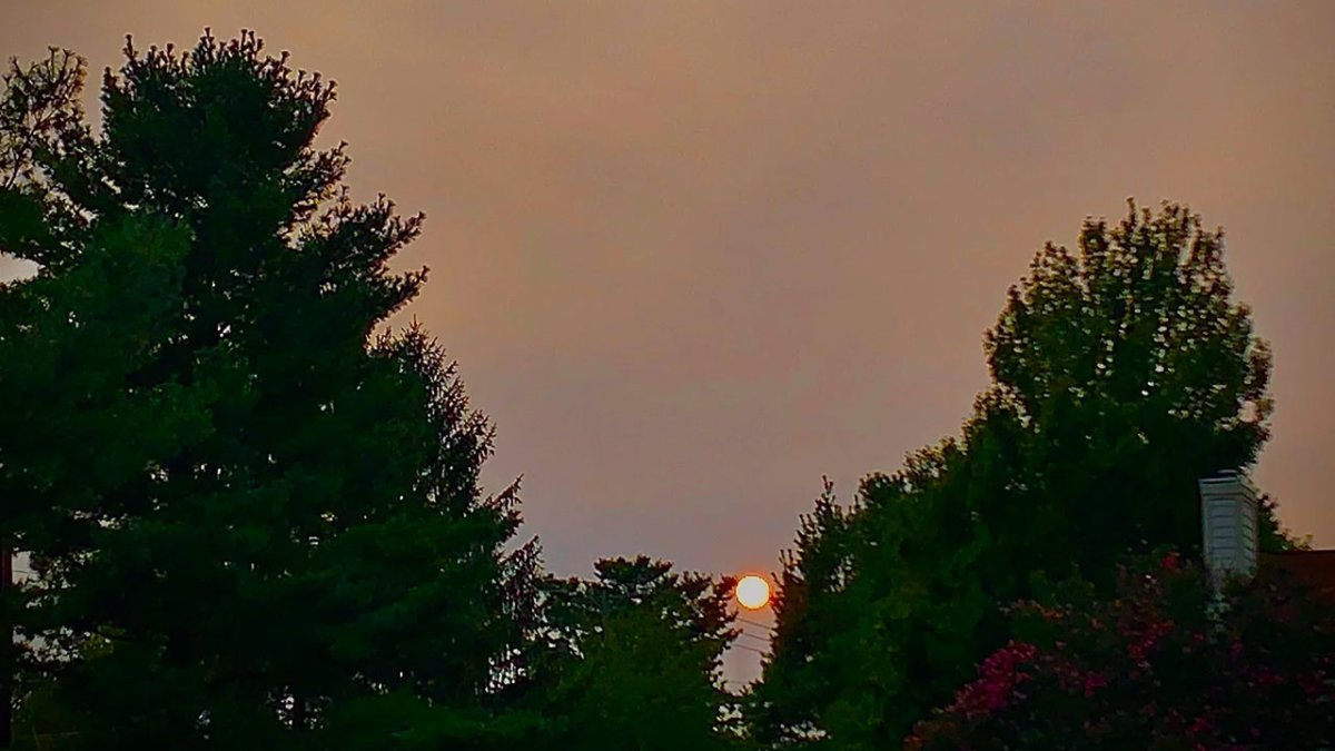 Photos: Wildfire Smoke Spreads Across DC Area – NBC4 Washington