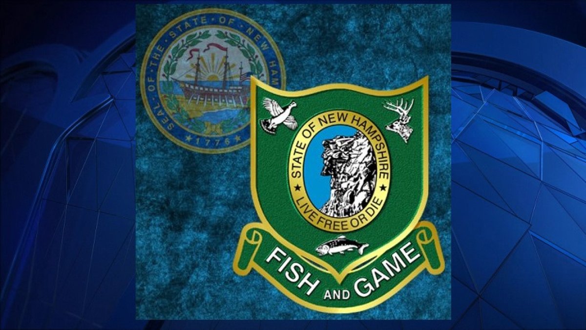 NH avalanche: Ice climbers rescued from Franconia State Park – NBC4 ...