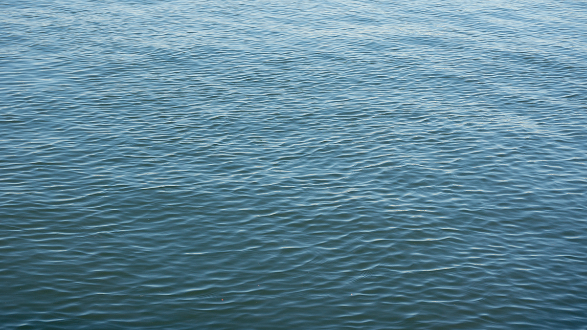 Grave Mistake: ‘Casket’ Seen in River Turns Out to Be Dock – NBC4 ...