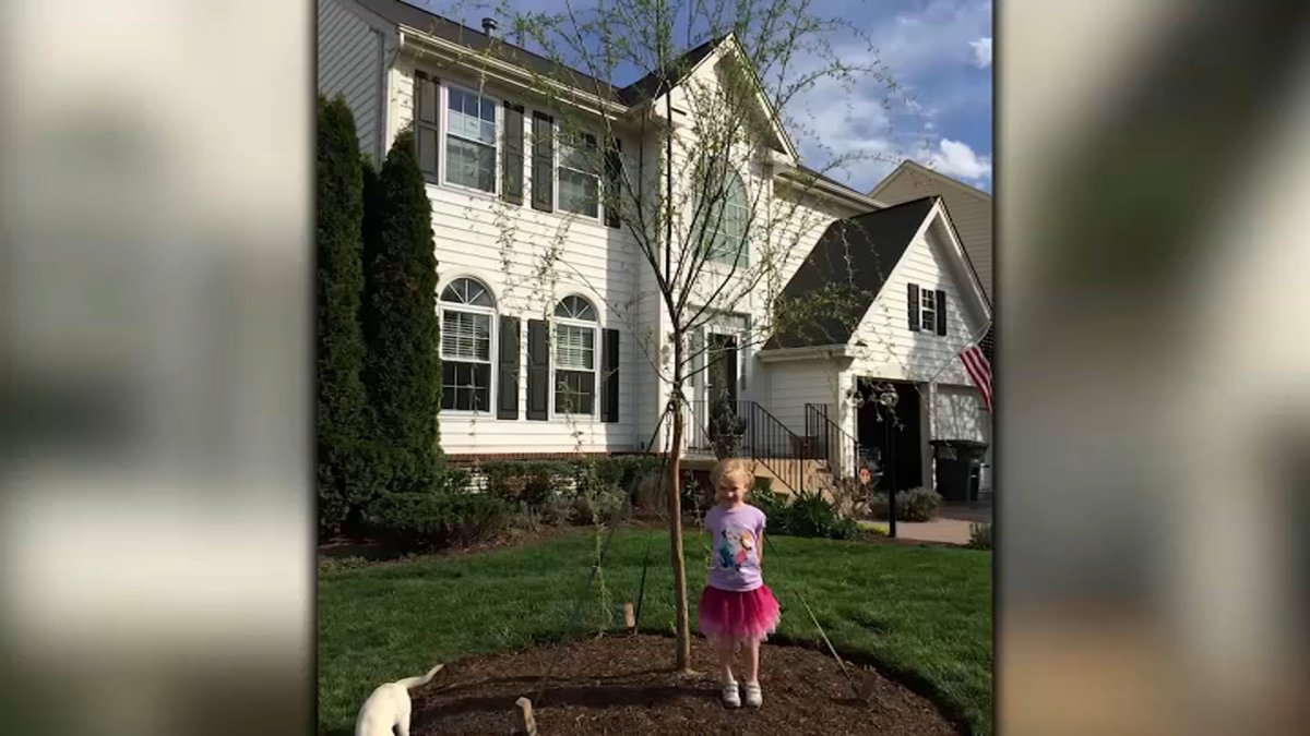 Strangers Help Virginia Family Preserve Fallen Memorial ‘Daddy Tree ...