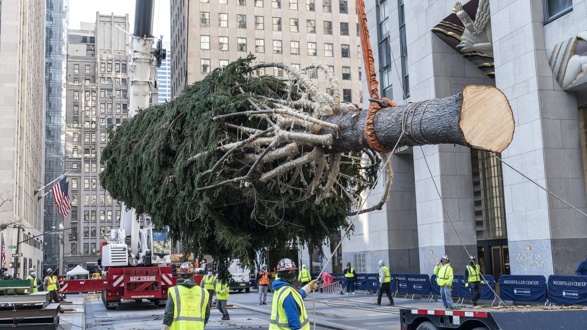Don’t Worry, the Rockefeller Center Christmas Tree Is Just Fine – NBC4 ...