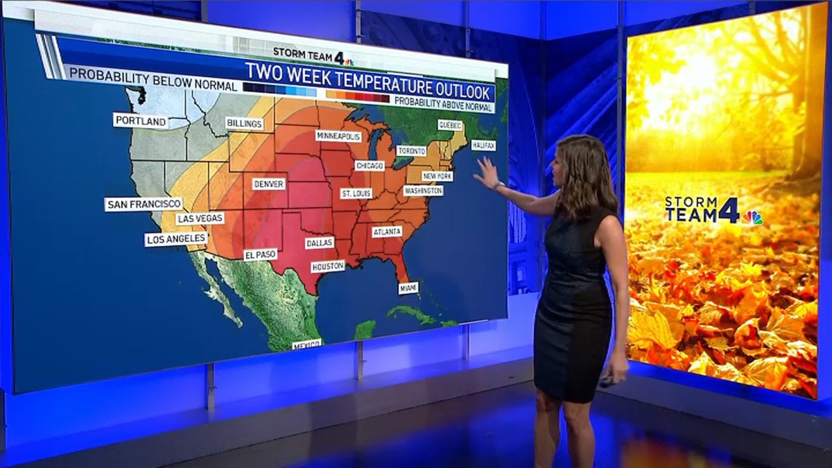 How Long Will the Warm November Temps Last? – NBC4 Washington