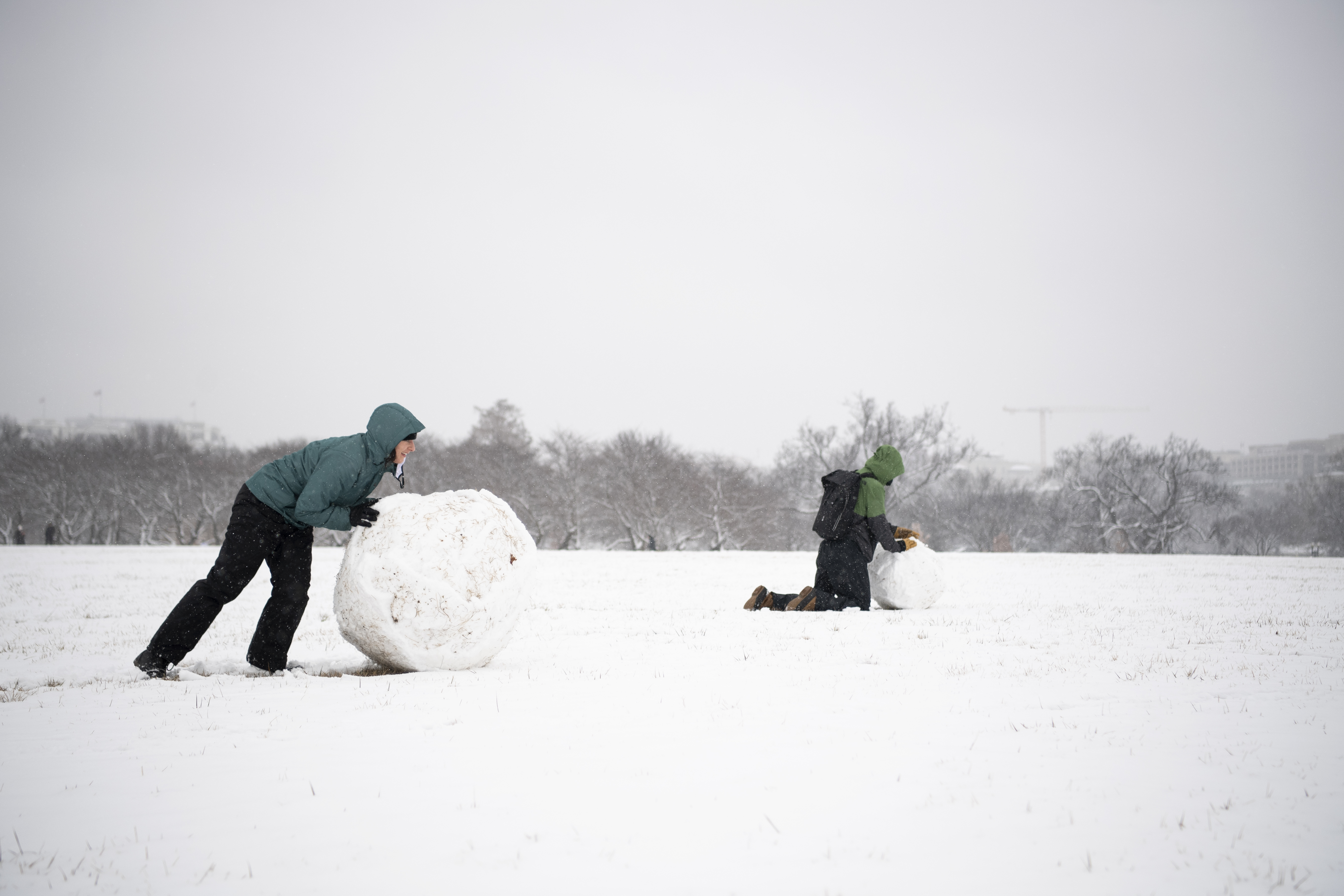 Photos: Snowball Fight Breaks Out at National Mall – NBC4 Washington