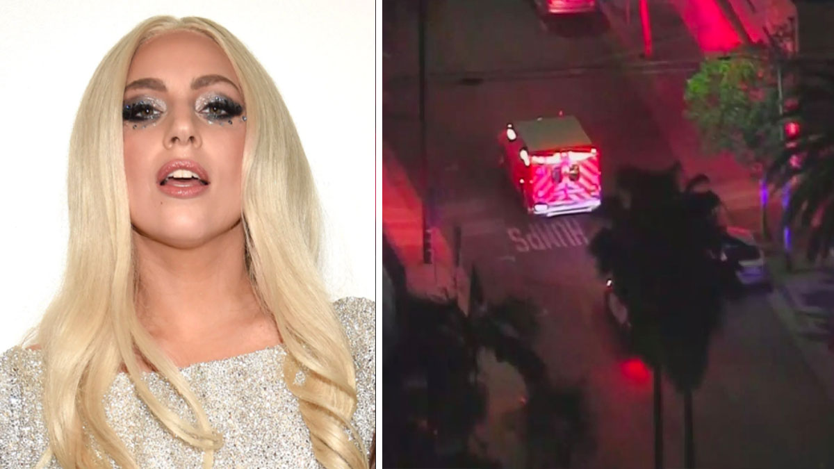 Laga Gaga Dog Walker Shooting Suspect Released by Mistake – NBC4 Washington