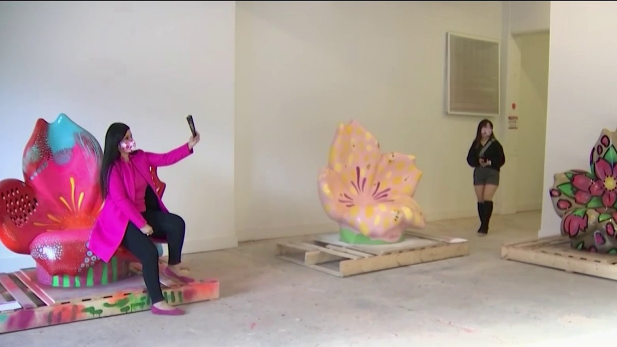 Preview of the “Art In Bloom” Installation – NBC4 Washington