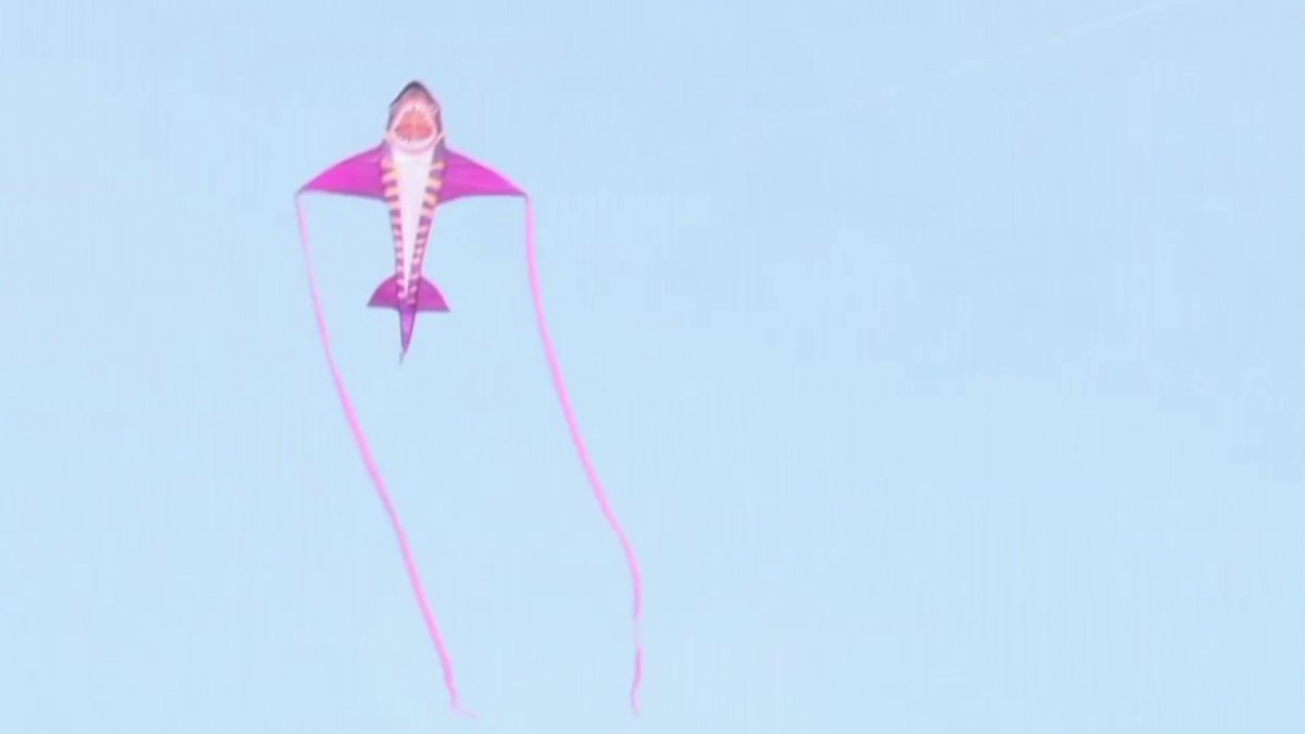 Cherry Blossom Kite Tradition Moves Off National Mall for 2021 – NBC4 ...