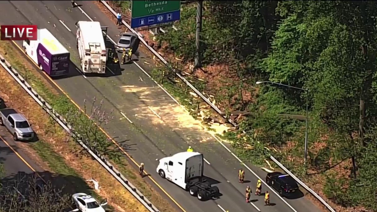 Large Tree Falls on Beltway, Strikes Car Amid High Winds – NBC4 Washington