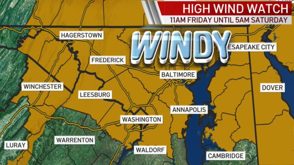 Winds Up to 60 MPH Possible in DC Area on Friday – NBC4 Washington