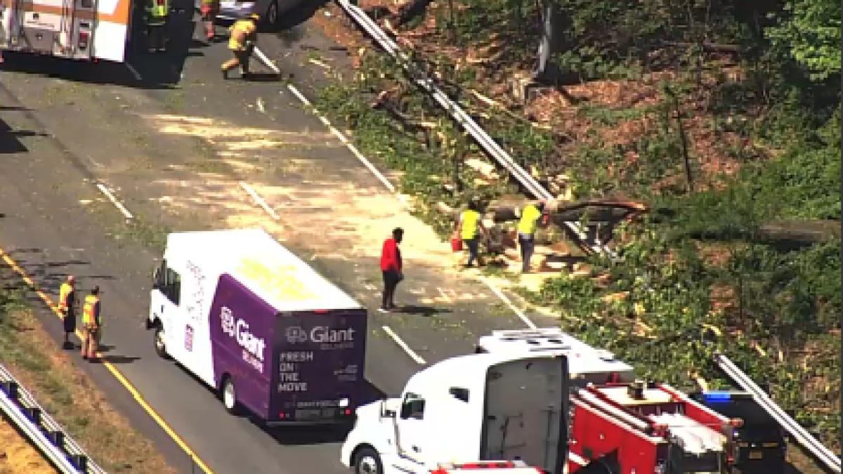 Tree Falls on Capital Beltway, Strikes Car Amid High Winds – NBC4 ...