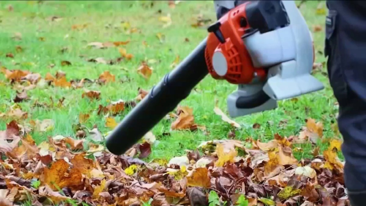 Best Battery-Powered Lawn Tools This Season – NBC4 Washington