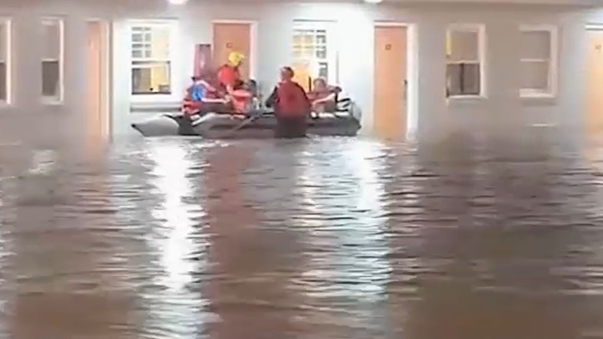 Flooded Homes & Chocolate Cicadas: The News4 Rundown – NBC4 Washington