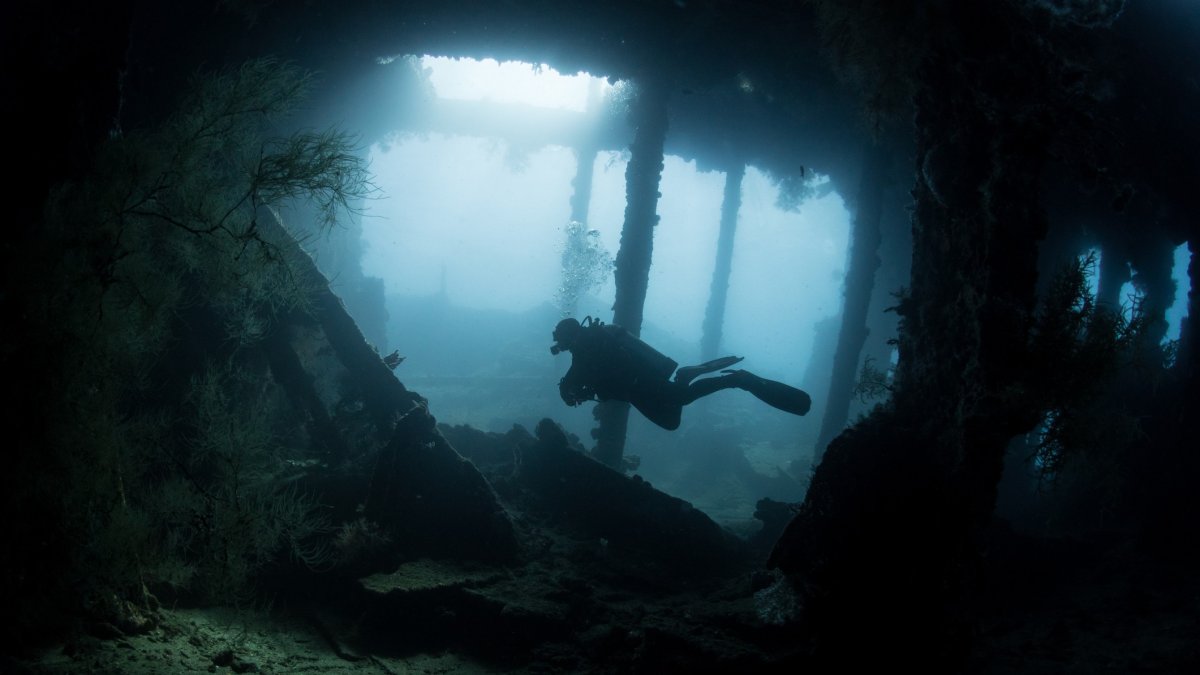 Expedition Explores Shipwrecks Off Atlantic Coast, Plateau – NBC4 ...