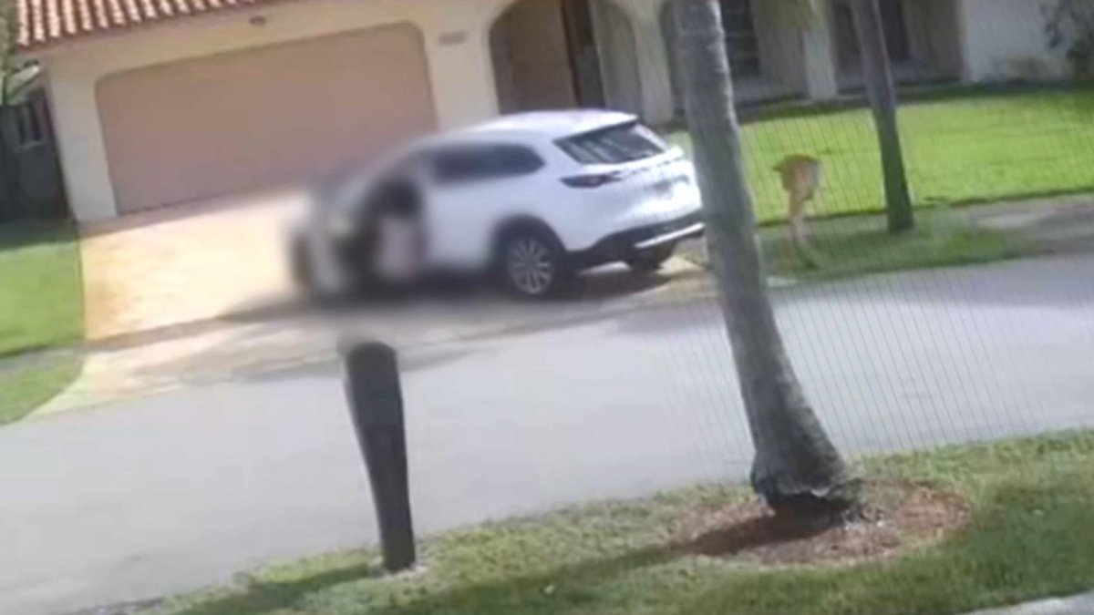 Grieving Families Push for Legislation to Prevent Car Rollaway ...