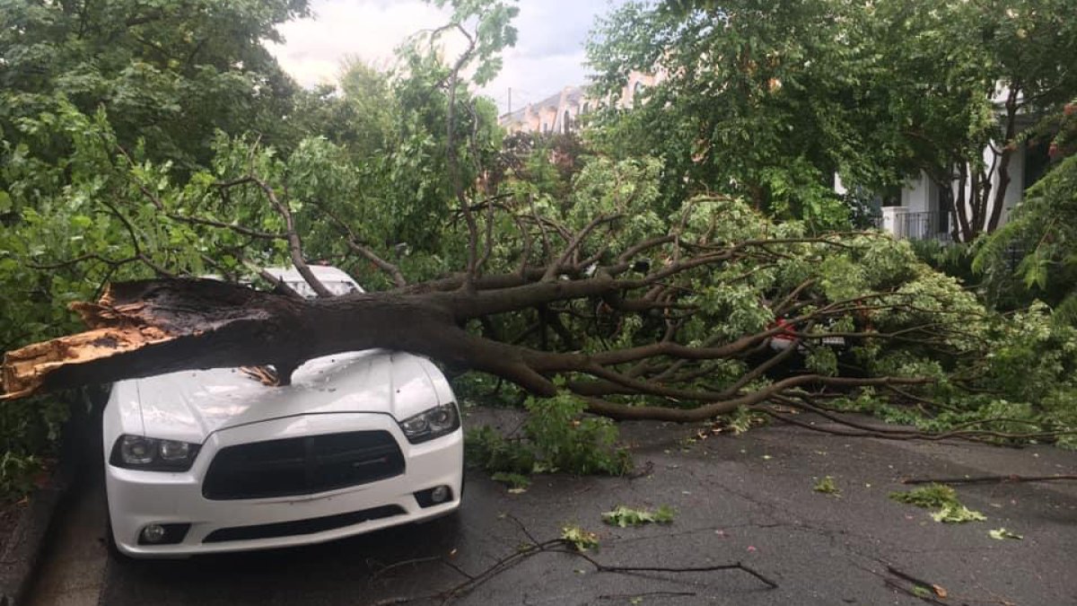 Severe Thunderstorms Knock Over Trees, Flood Roads in DC Area – NBC4 ...