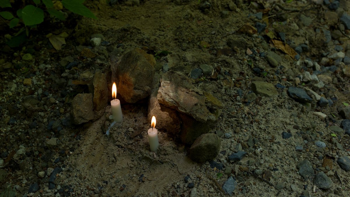 Deadly 1921 Coal Miner Revolt in West Virginia Remembered – NBC4 Washington