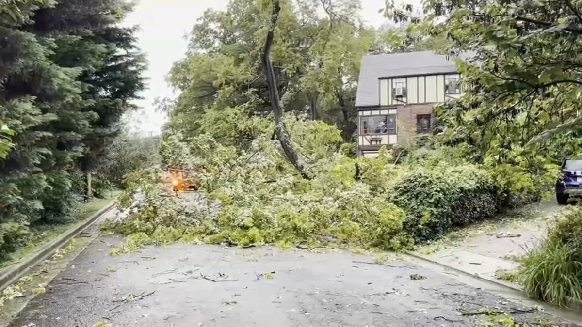 Heavy Rain, Expected Flooding Ahead for DC, Maryland, Virginia – NBC4 ...
