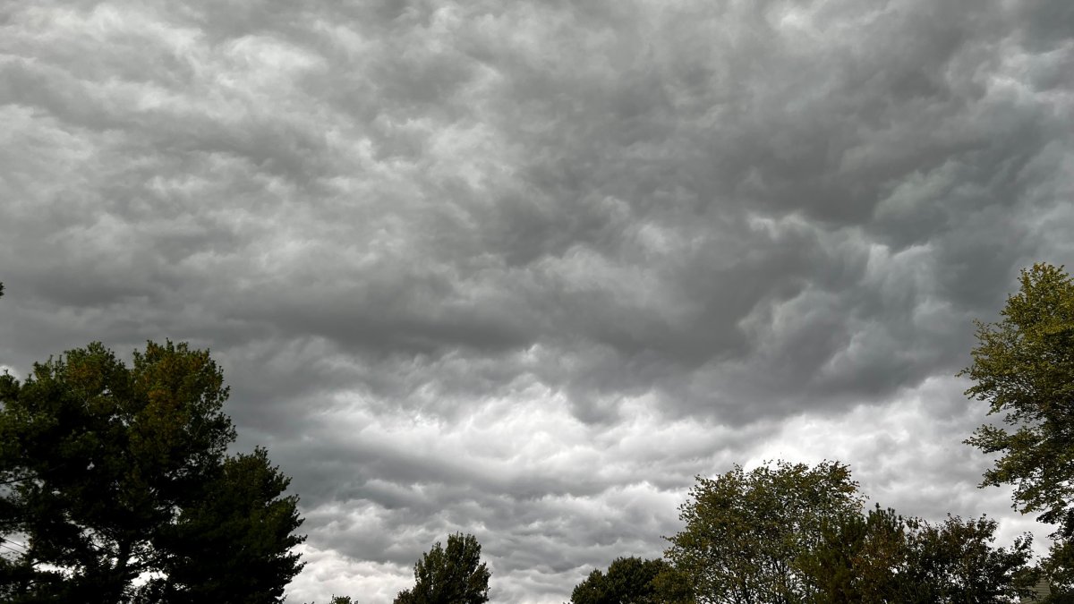 DC-Area Weekend Weather: Rain, Storms Saturday – NBC4 Washington