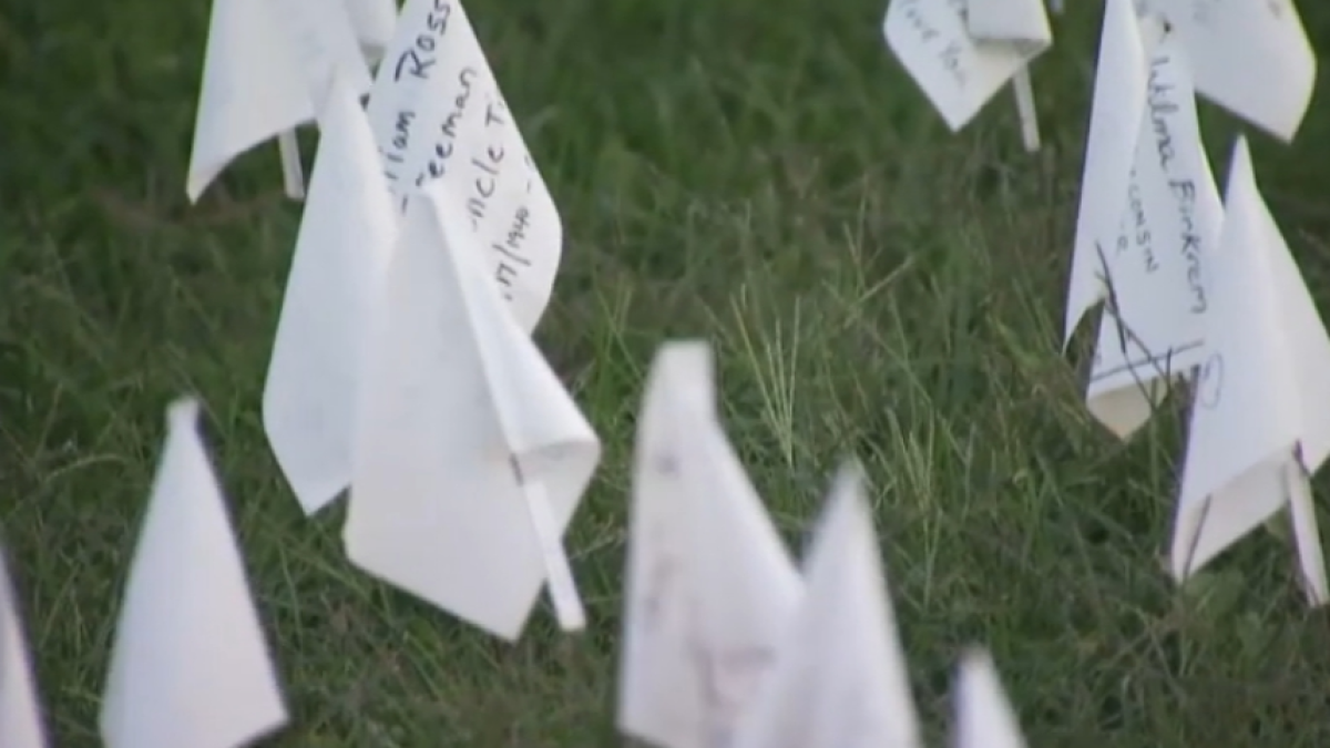 COVID-19 White Flag Memorial Installation Comes to an End on National ...