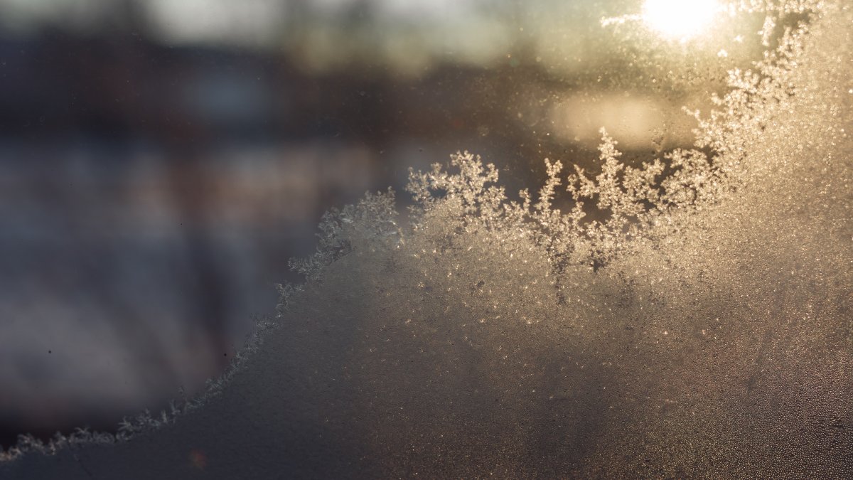 Freeze Warning, Frost Advisory as Cold Grips DC Area – NBC4 Washington