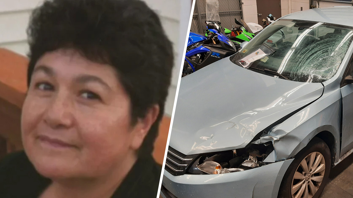 Police Find Car, Driver Allegedly Involved in Fatal Hit-and-Run in ...