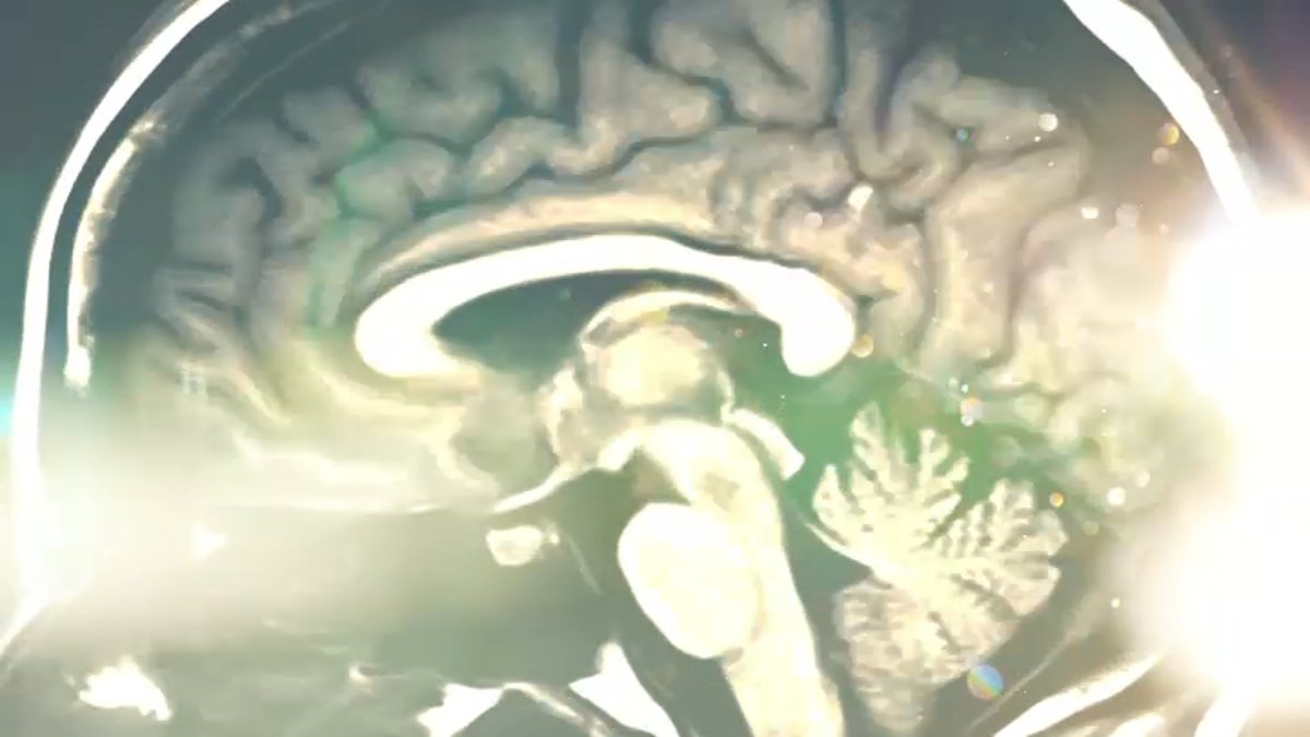 Does Your Life Really Flash Before Your Eyes When You Die? New Research ...