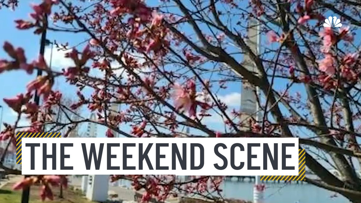 Things to Do in the Washington DC Area This Weekend: March 4-6 – NBC4 ...