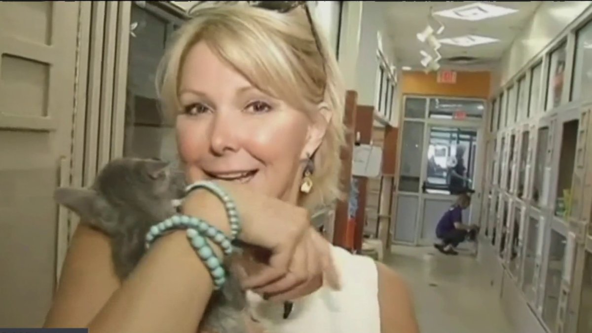 News4’s Wendy Rieger Remembered for Commitment to Various Charitable ...