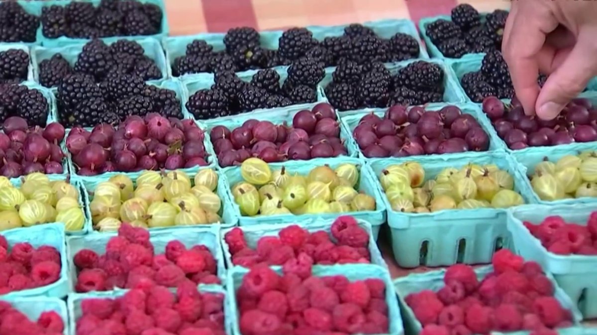 Tips for Making Healthy Food Choices This Summer – NBC4 Washington