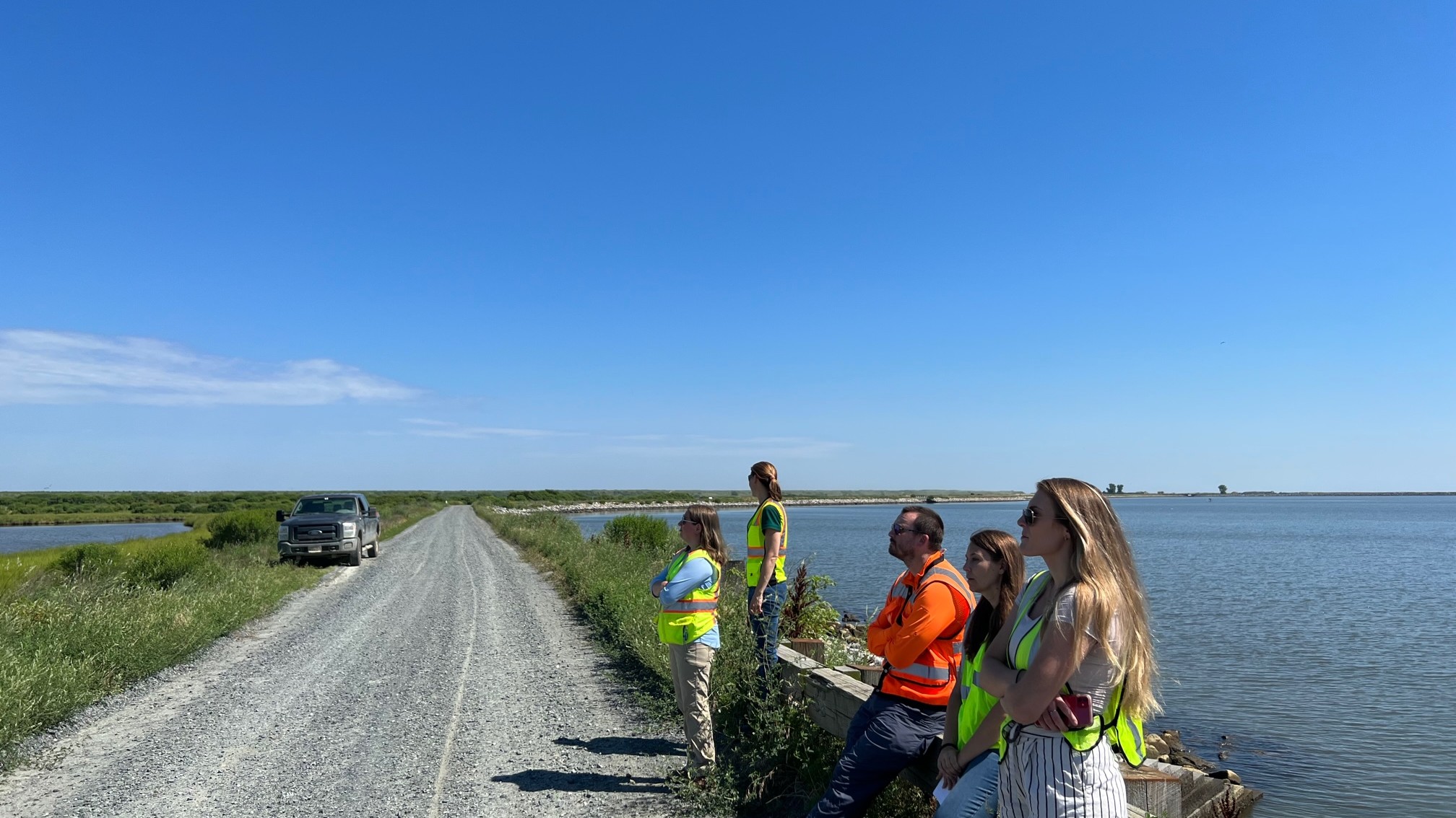 PHOTOS: Poplar Island Ecosystem Restoration Project – NBC4 Washington