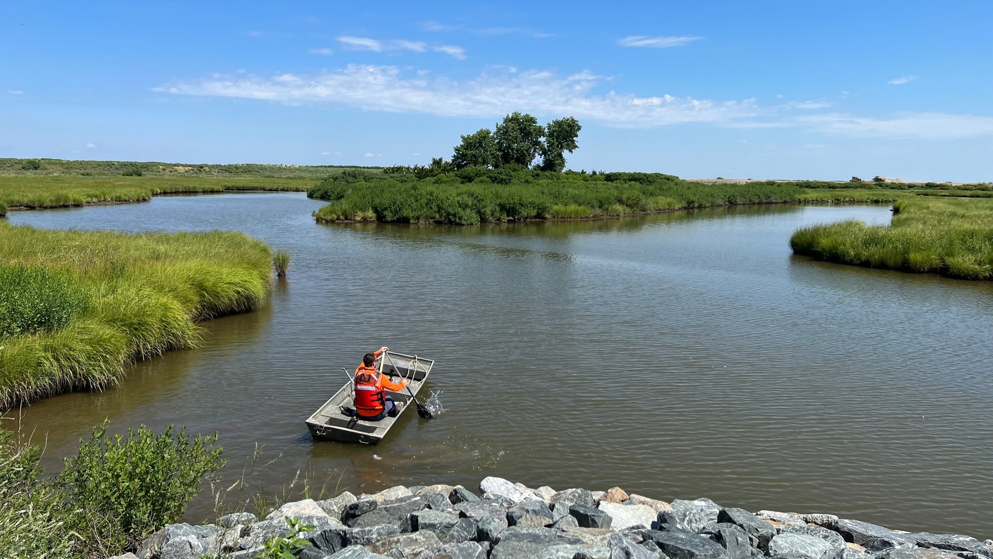 PHOTOS: Poplar Island Ecosystem Restoration Project – NBC4 Washington