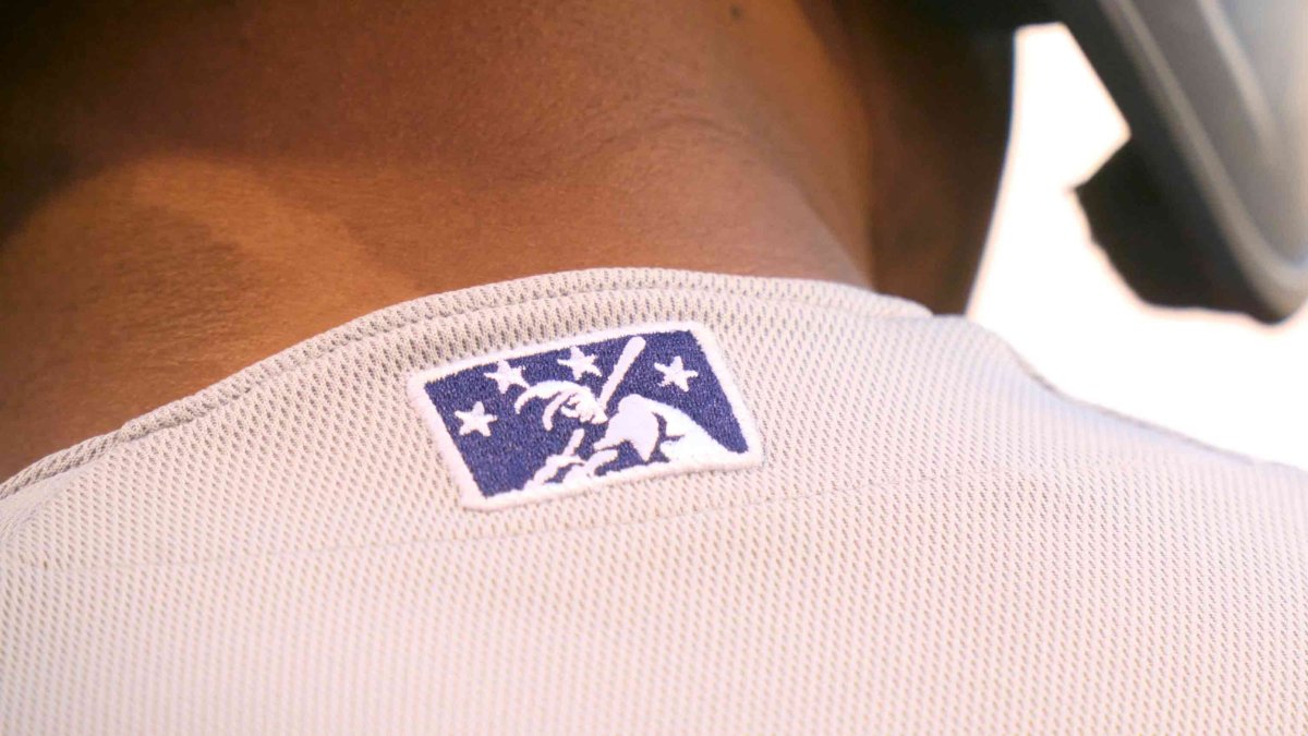 MLBPA Launches Campaign to Unionize Minor League Players – NBC4 Washington