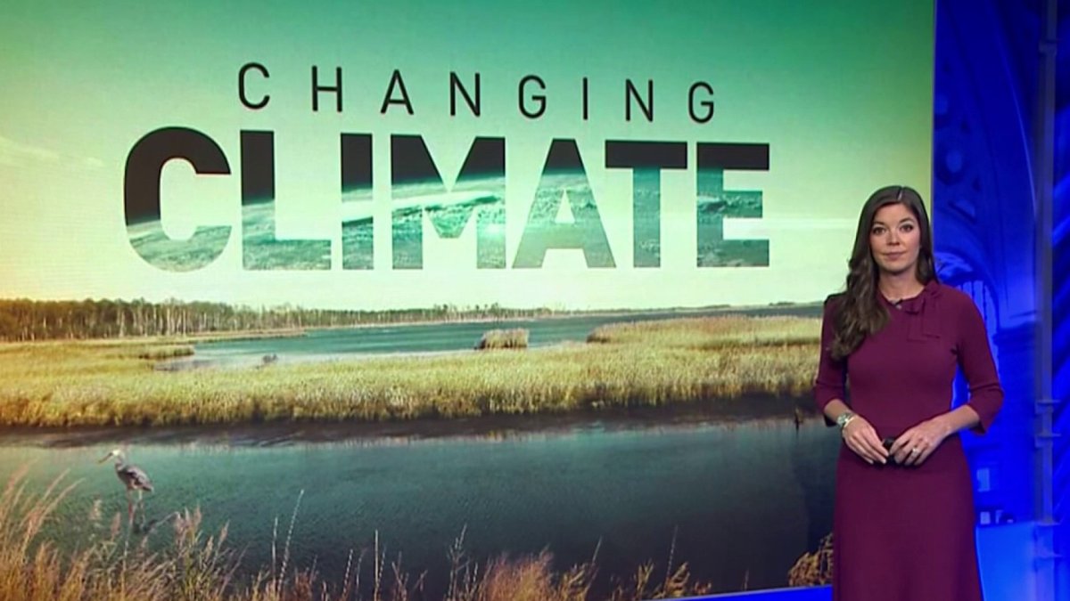 How Much Does Human-Caused Climate Change Intensify Natural Disasters ...