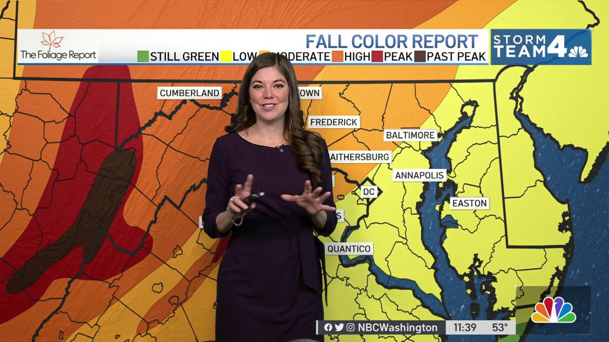 Midday Weather and Fall Foliage Report, Oct. 20 – NBC4 Washington
