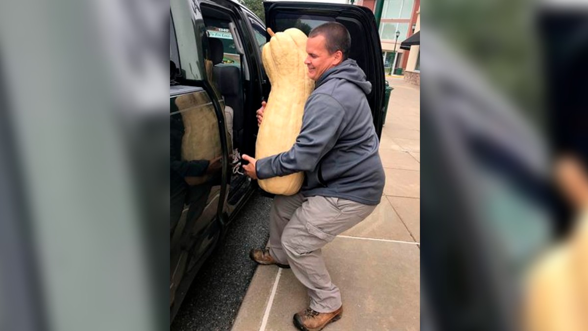 Virginia Man’s Butternut Squash Breaks State Record – NBC4 Washington