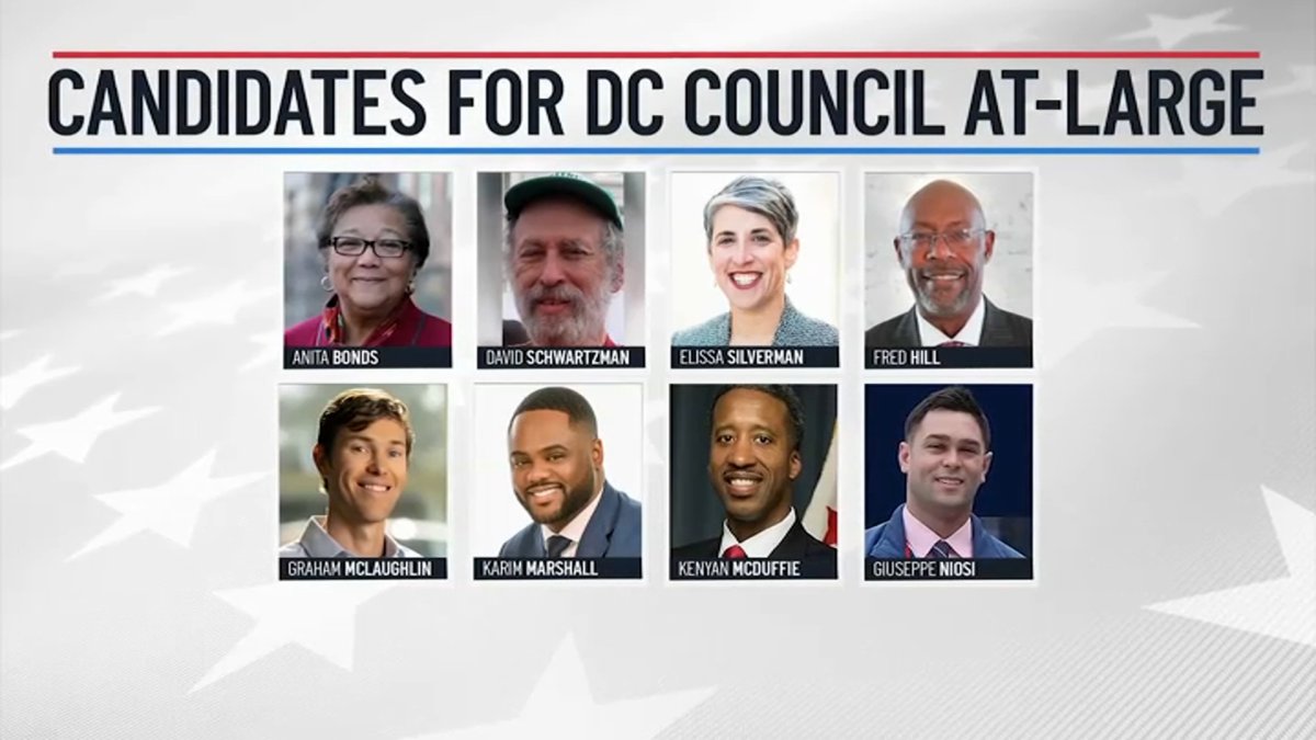 8 Candidates Running for DC Council At-Large – NBC4 Washington
